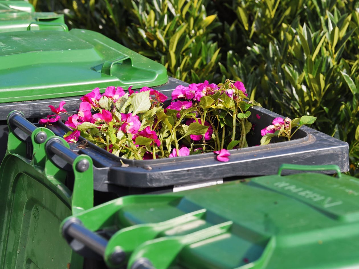 Alles over groente-, fruit en tuinafval (gft-afval)