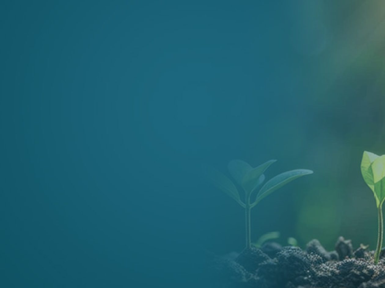 Zero Waste E-Book: 7 strategies to transform trash into cash